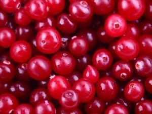 Health Benefits of Cranberries - Uses of Vaccinium Macrocarpon - Biogetica